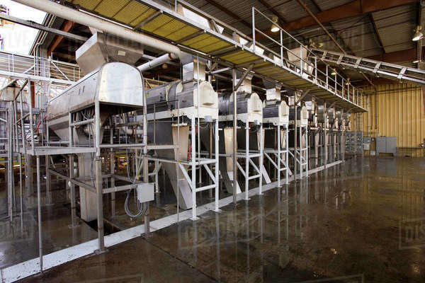 Agriculture - Nut dryers at a pistachio processing facility / near ...