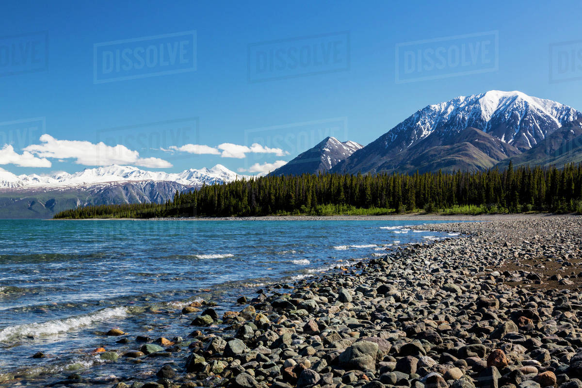 View of the shoreline of Kluane Lake in the Yukon Territory, Canada ...