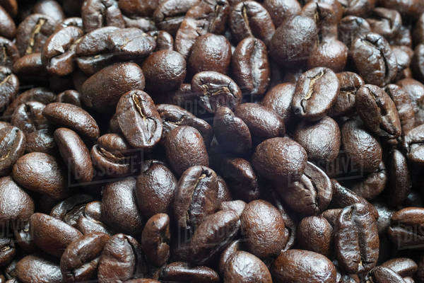 Costa Rican coffee beans - Stock Photo - Dissolve