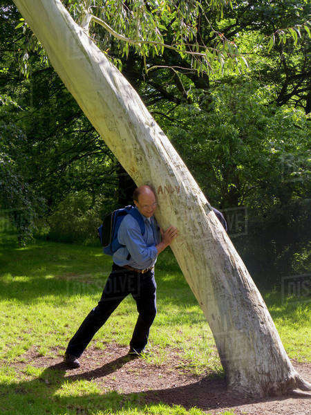Man holds up leaning tree; England - Royalty-free Stock Photo | Dissolve