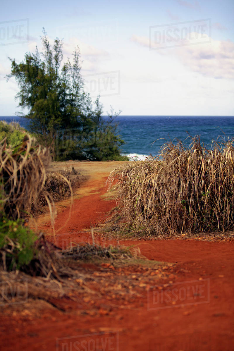 Views from walking along the Kealia walk path; Kapaa, Kauai, Hawaii ...