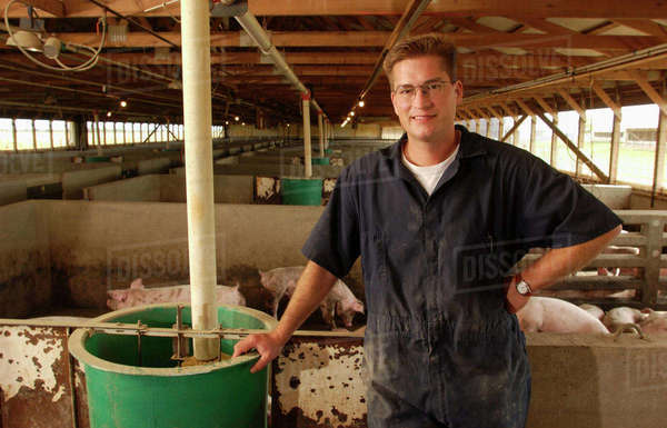 Agriculture - A hog producer poses in a confinement facility / Iowa ...