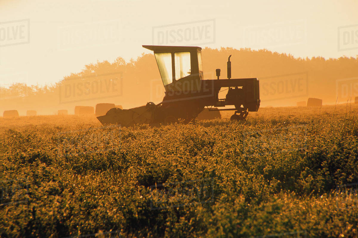 Combine In Field - Royalty-free Stock Photo | Dissolve