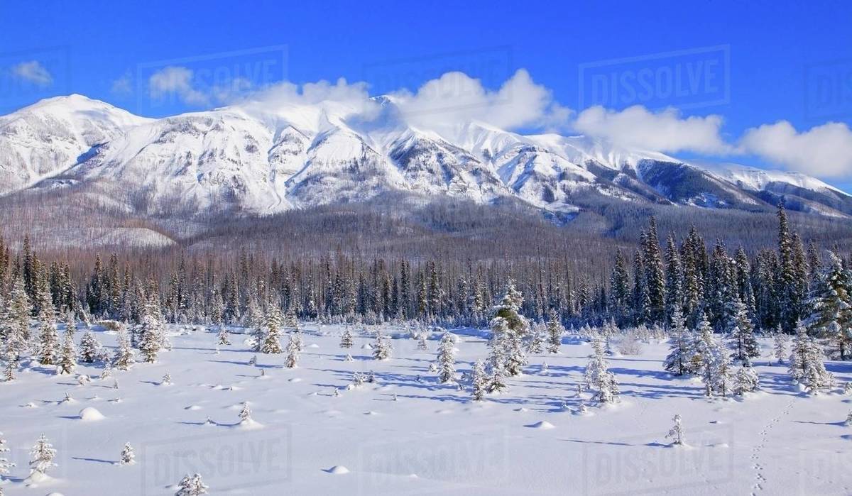 A Mountain View - Stock Photo - Dissolve