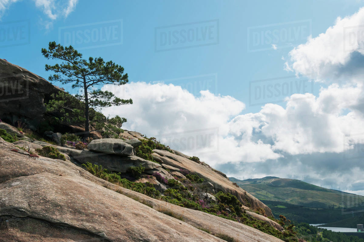 Hilly landscape near the seaside, Rias Altas from La Coruna; Rias Atlas ...