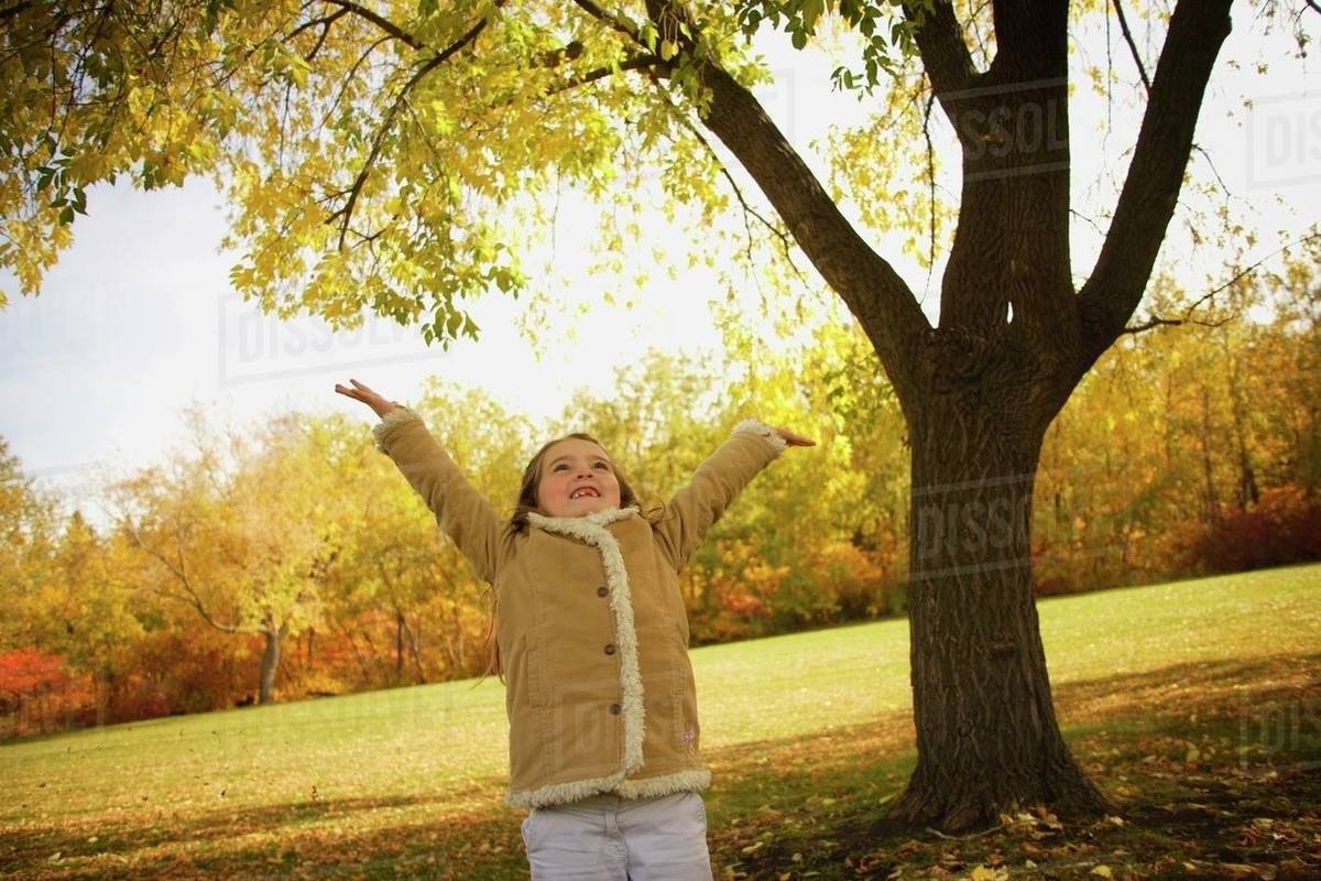 Child Tries To Catch Falling Leaves - Stock Photo - Dissolve