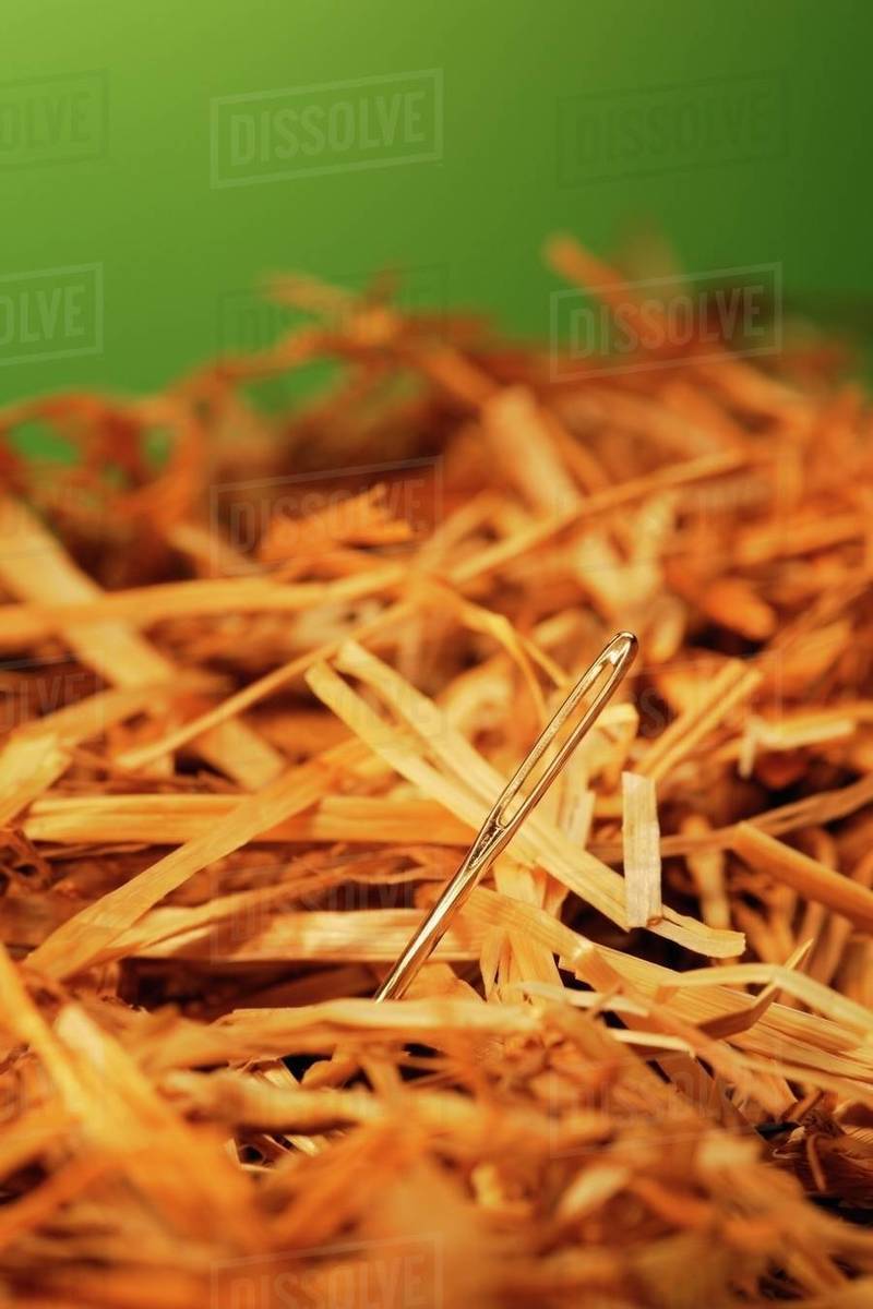 A Needle In A Hay Stack - Royalty-free Stock Photo | Dissolve