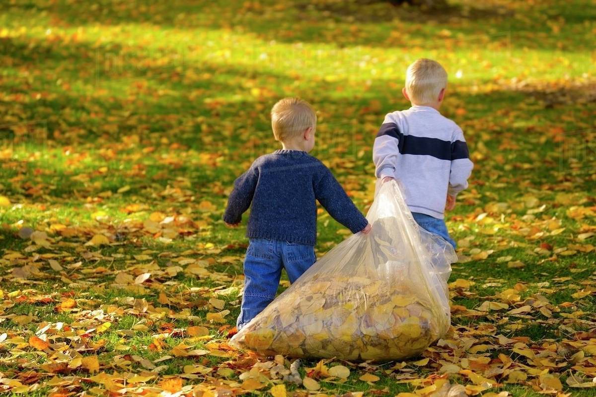 Two Boys Dragging Bag Of Leaves - Stock Photo - Dissolve