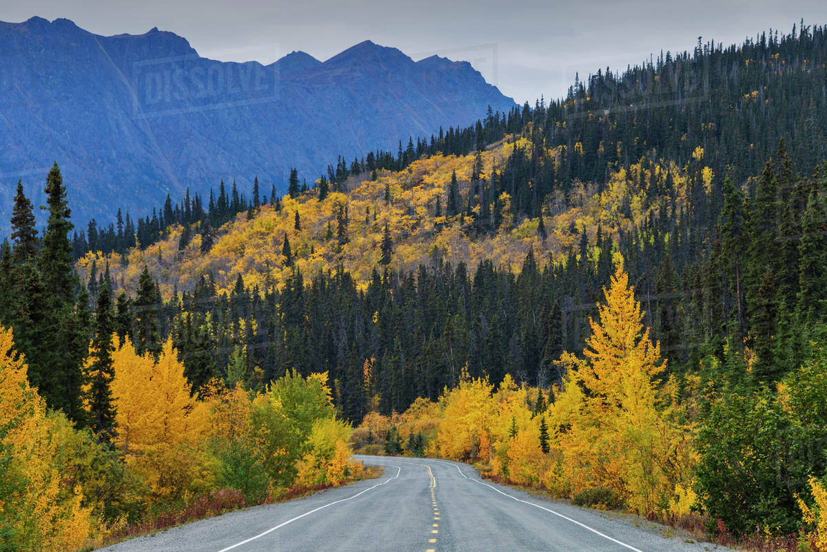 Autumn scenic along the Klondike Highway south of Whitehorse, Yukon ...