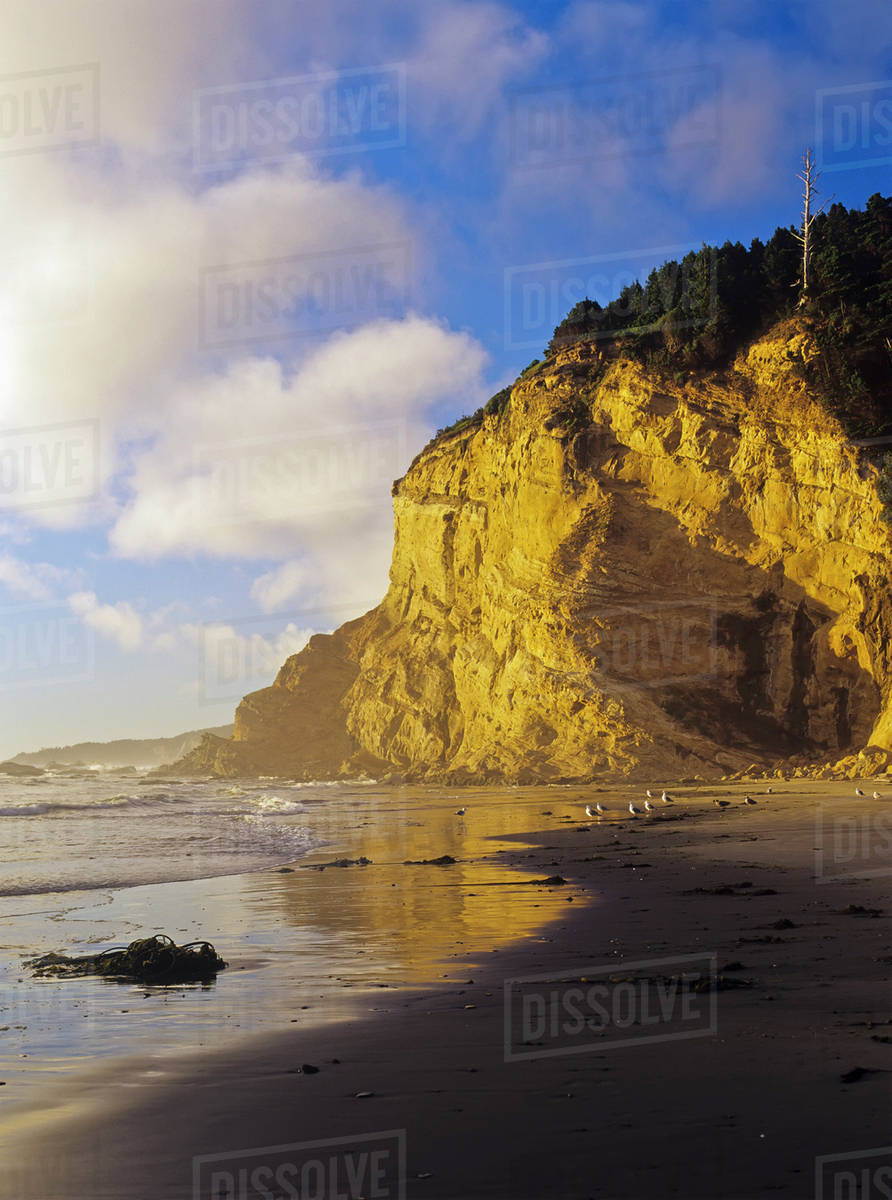 The cliffs glow at Seven Devils States Park Wayside; Charleston, Oregon ...