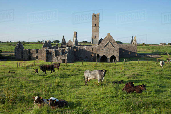 Moyne Abbey at Killala Bay, North of Ballina; County Mayo, Ireland ...