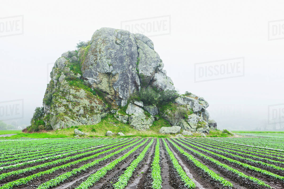 Large rock formation in a farm field; Oregon, United States of America ...