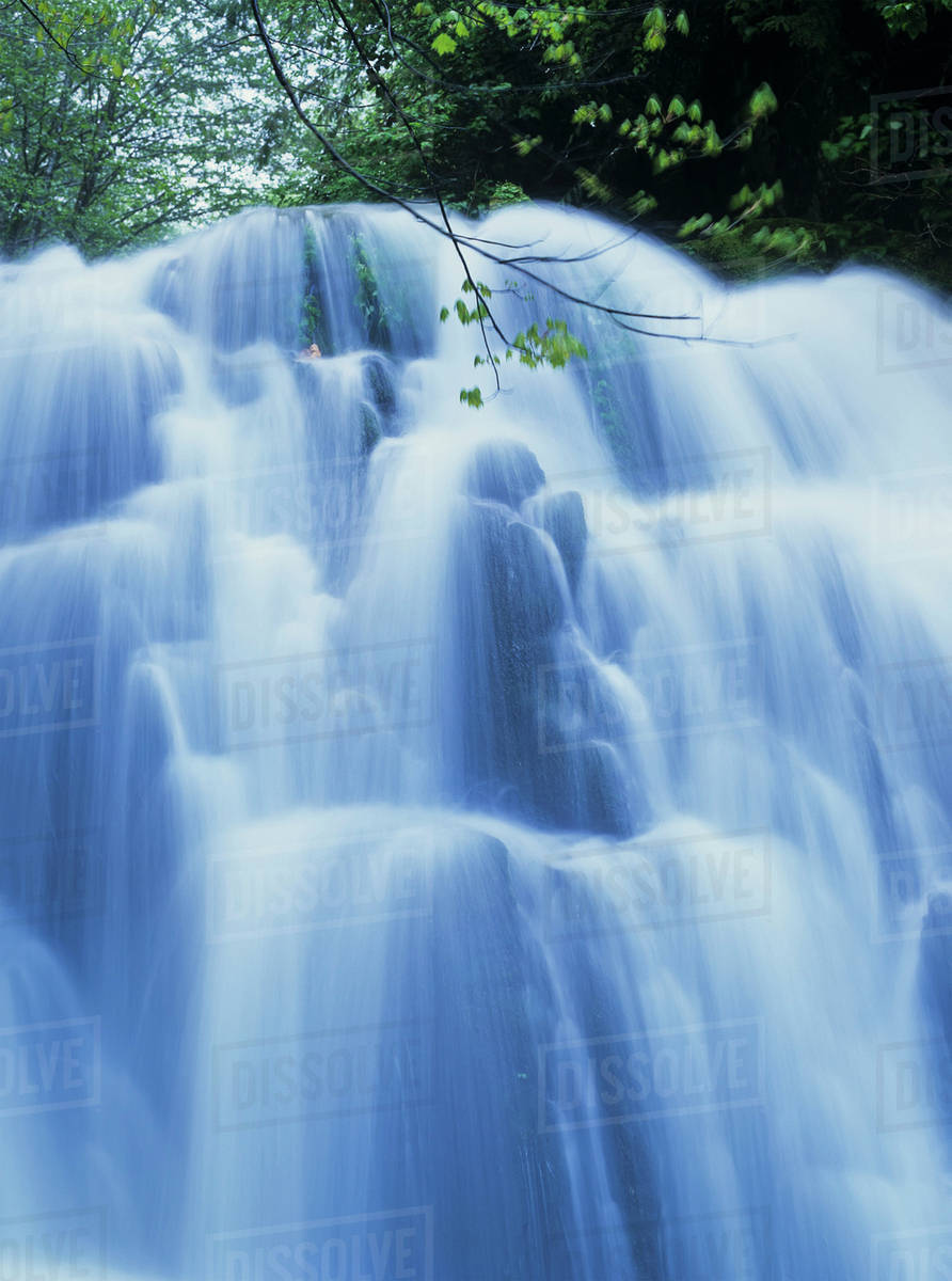 Sweet Creek waterfalls along the hiking trail; Mapleton, Oregon, United ...