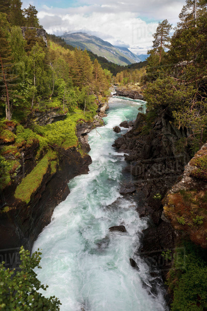 A river rushing through a forest with mountains in the distance ...