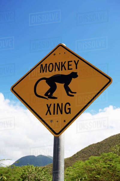 Monkey crossing sign; Nesbit Beach, Nevis - Royalty-free Stock Photo ...