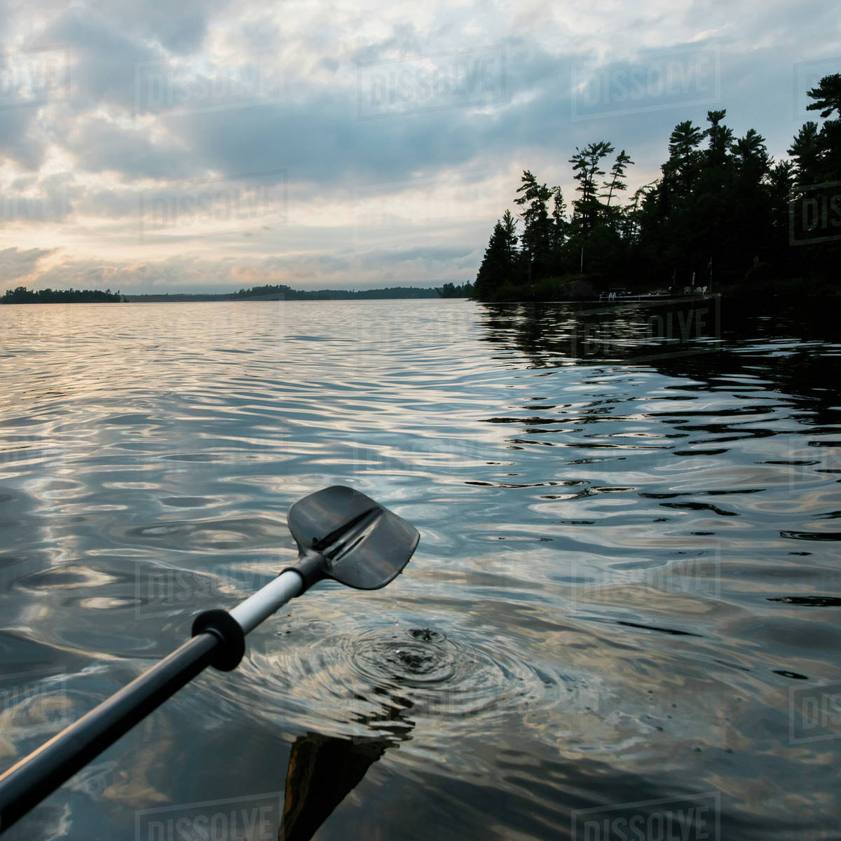A paddle rowing on a tranquil lake at sunset; Ontario, Canada - Royalty ...