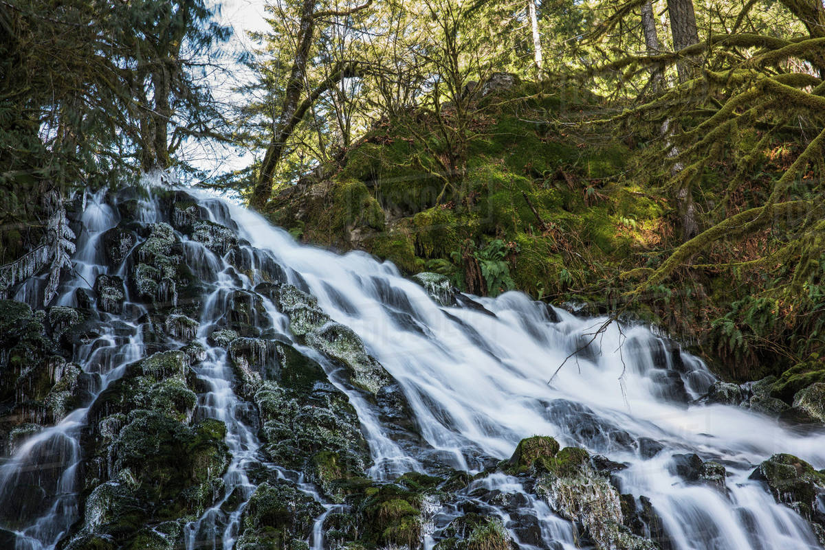 Fishhawk Falls, Lee Wooden County Park; Jewell, Oregon, United States ...