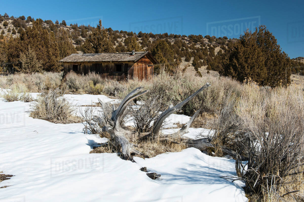 Old cowboy line shack in the South Warner Mountains, Modoc County ...