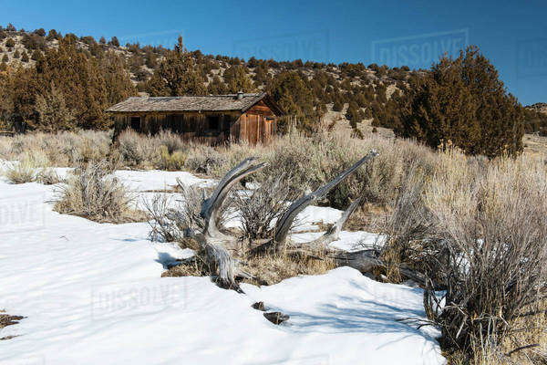 Old cowboy line shack in the South Warner Mountains, Modoc County ...