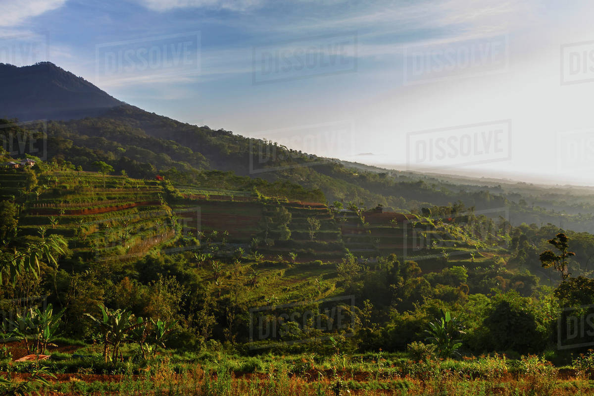 Rice terraces near Rendang, Bali, Indonesia - Royalty-free Stock Photo ...