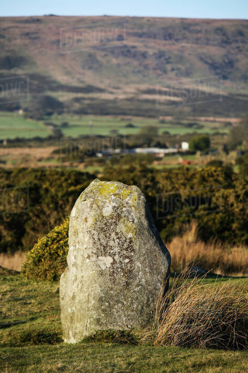 Dreaming Stone at edge of 16 blue stones that form an egg-shaped ring ...