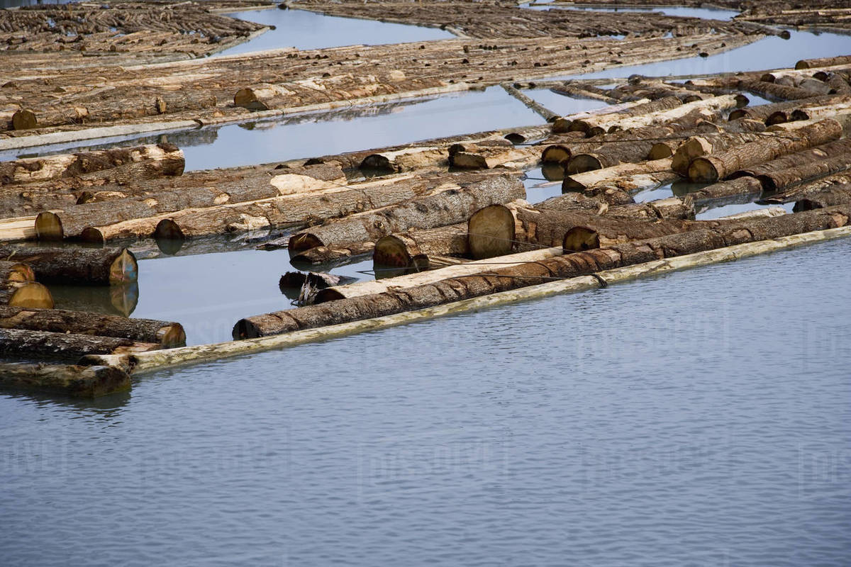 Log Driving - Royalty-free Stock Photo | Dissolve