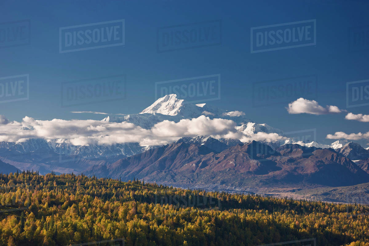 Scenic View Of Mt. Mckinley And The Alaska Range, Denali State Park ...