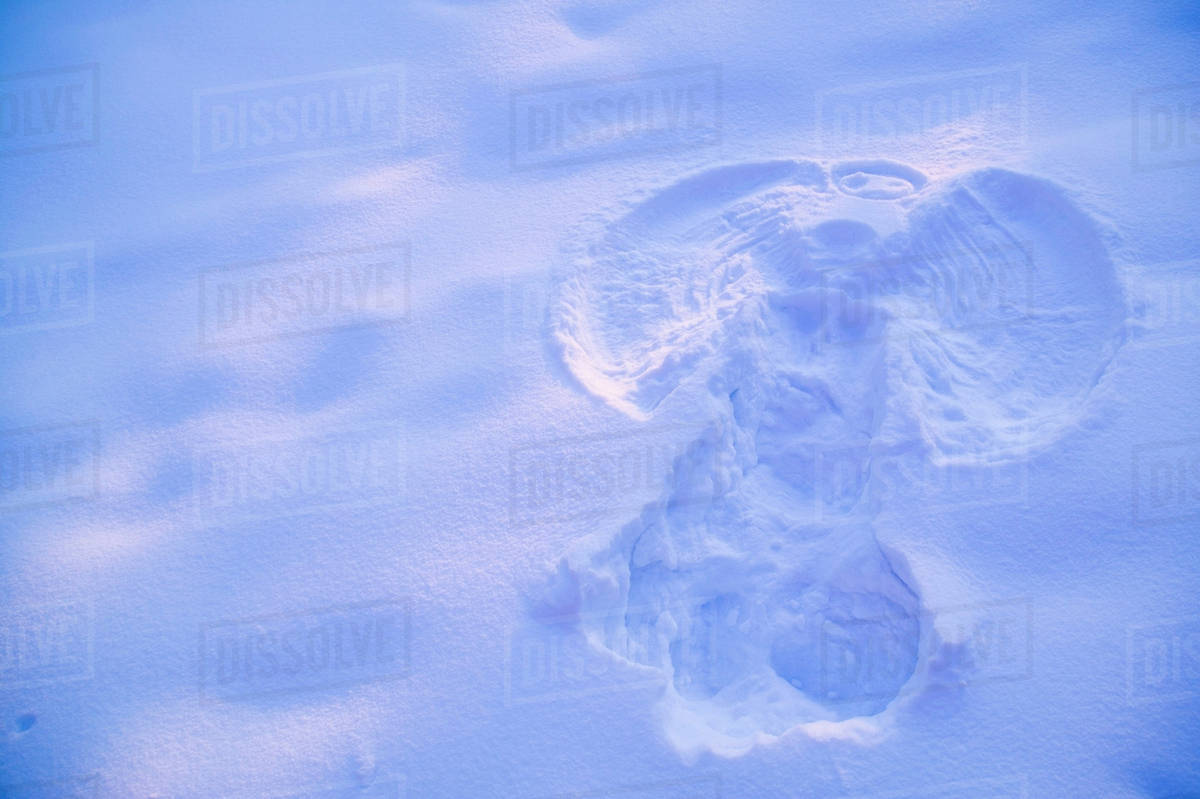 Close Up Of Snow Angel At Sunset With Blue And Pink Highlights Winter ...