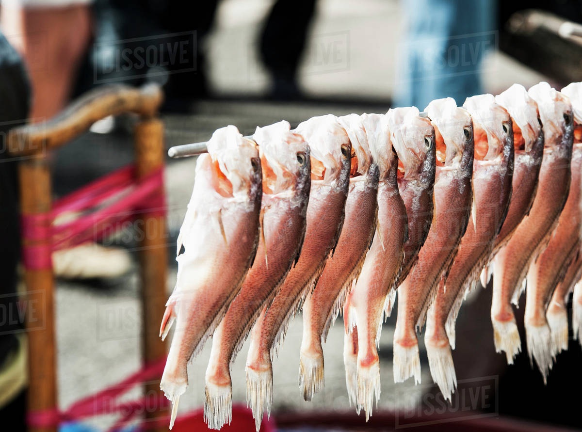 Fish hanging on display at a fish market;Busan south korea - Stock ...