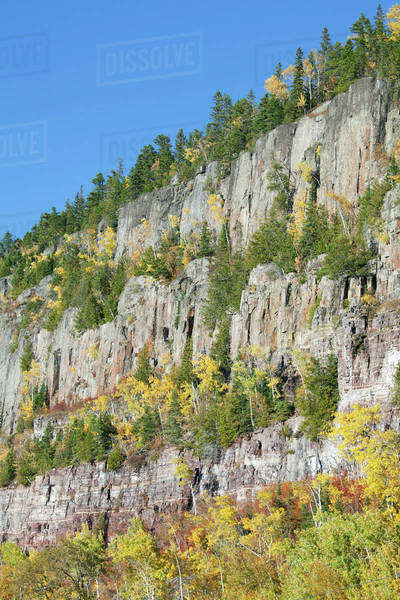 Mountain cliffs with trees growing on the ledges in autumn colours ...