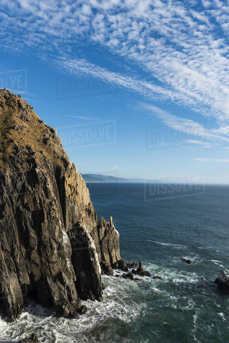 Spectacular Sea Cliffs At Oswald West State Park; Manzanita, Oregon ...