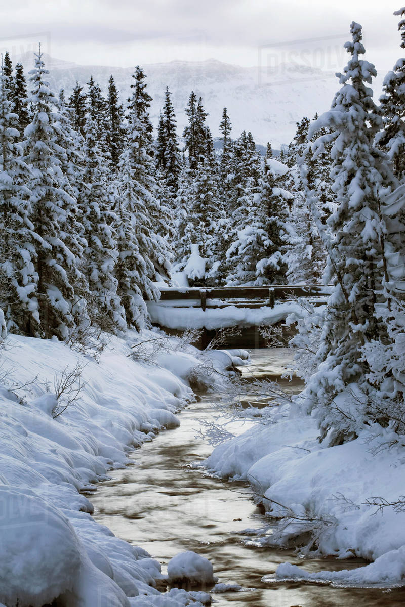 An open mountain stream with a wooden bridge surrounded by snow covered ...