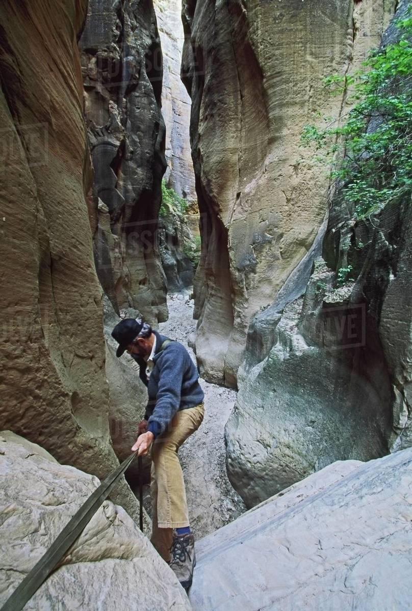 Adult Male Rappelling In Orderville Canyon, Zion National Park, Utah ...