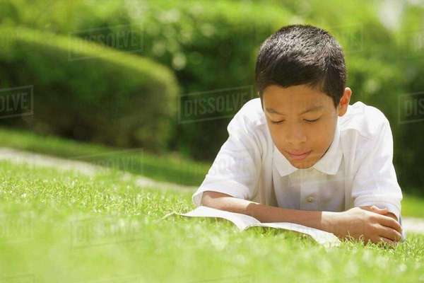Boy Reading A Book - Royalty-free Stock Photo | Dissolve