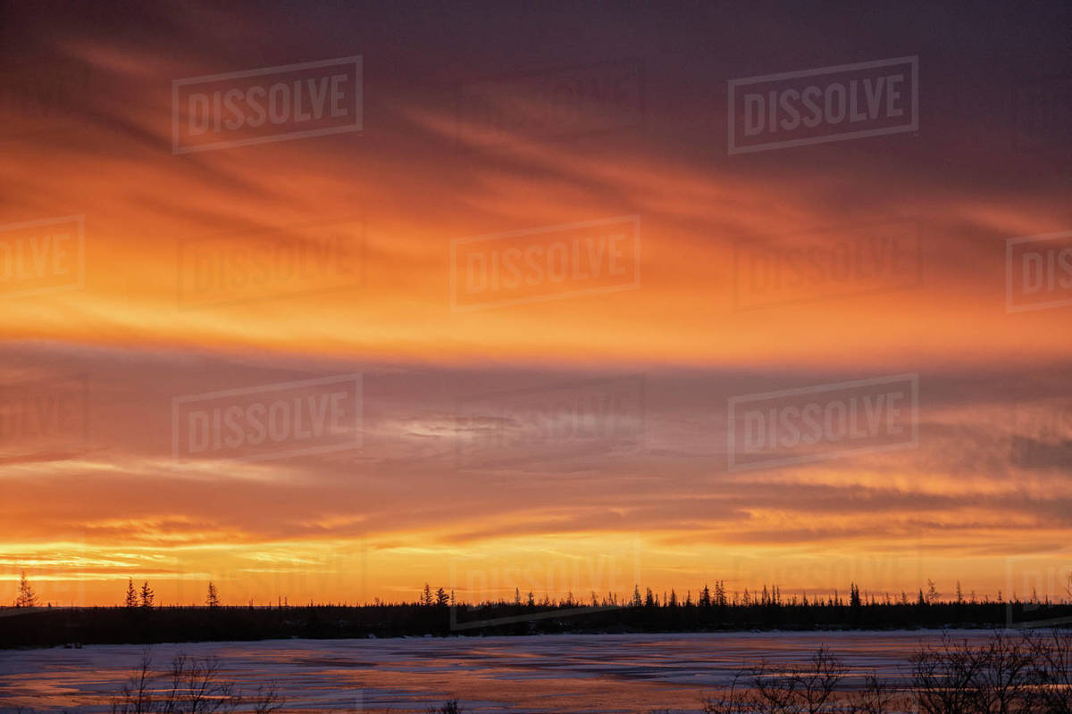 Sunrise over the boreal forest and frozen lake along the shore of ...