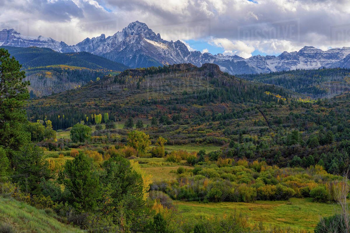 Autumn colours on display on a Colorado landscape. The aspen trees turn ...