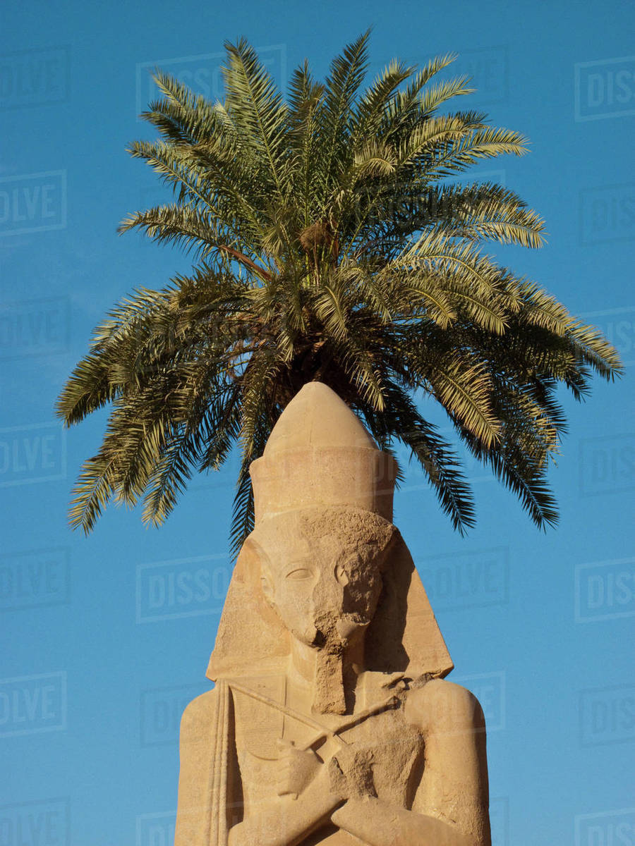 Colossus of Ramses II at the Temples at Karnak; Karnak, Egypt - Royalty ...