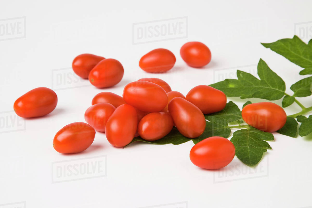 Agriculture - Fresh Grape tomatoes and leaves on a white surface ...