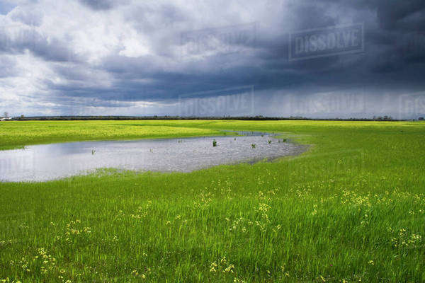 Agriculture - A fallow field in early spring flooded by excessive rain ...