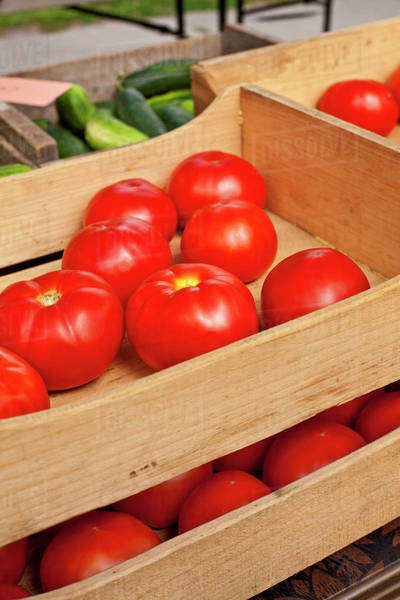 Agriculture - Fresh Market tomatoes on display in crates at the Hope ...