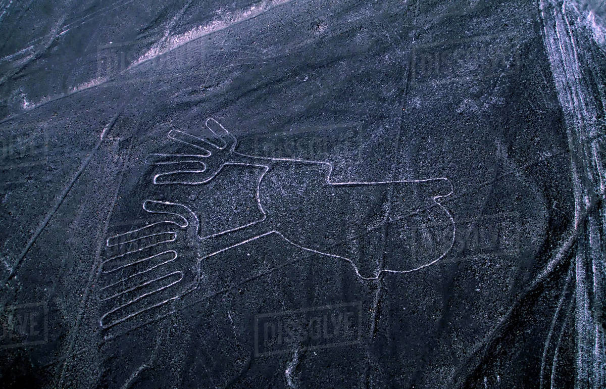 Mysterious Nazca lines form strange two-footed animal figures in the ...
