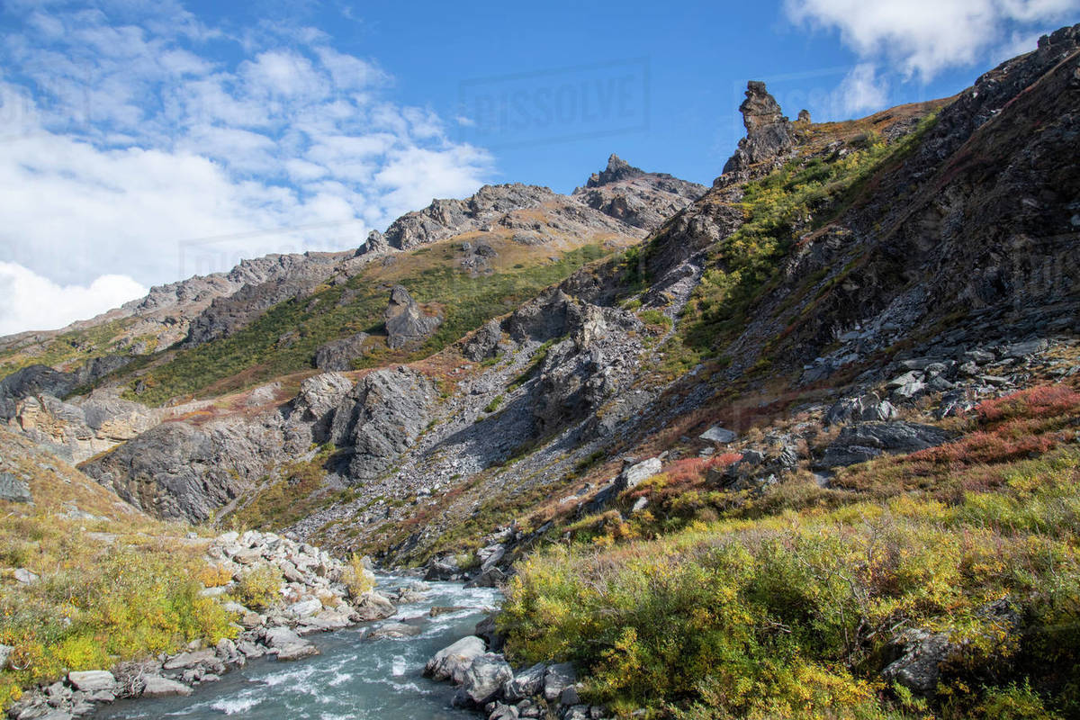Flowing river in the rugged terrain along the Savage River Loop Trail in Denali National Park ...