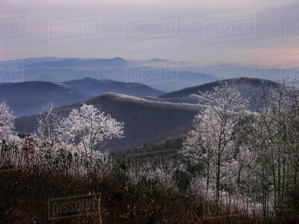 Stunning overview of trees along high elevation mountain ridges are ...