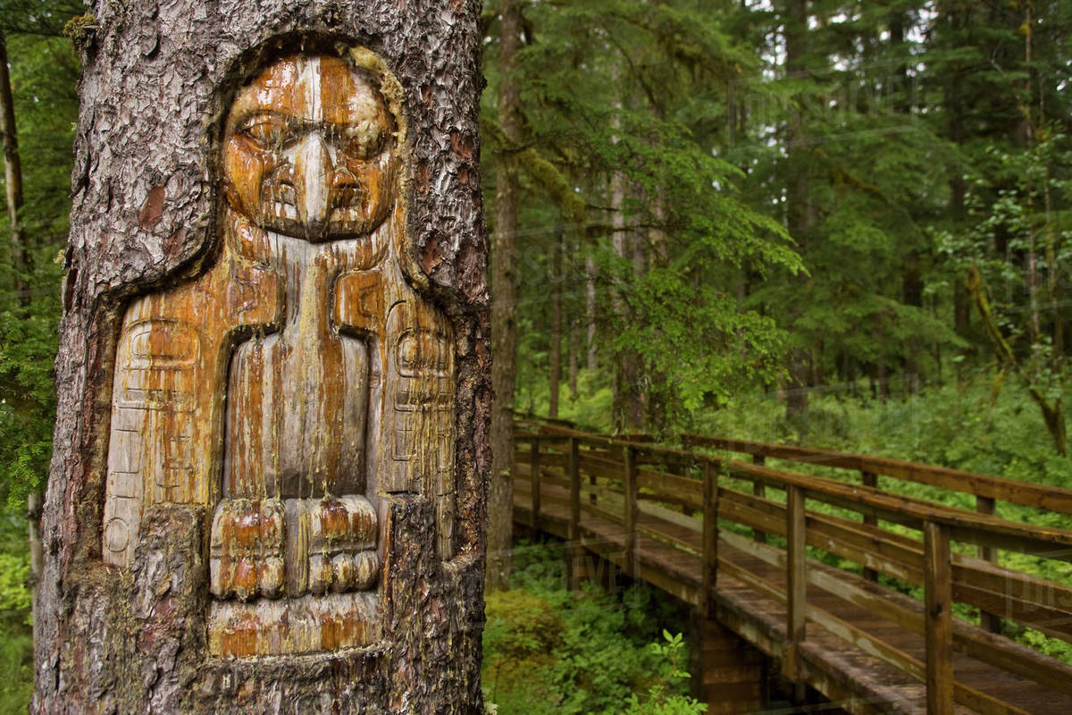 Tree trunk carved by a Native American artist at Bartlett Cove in ...