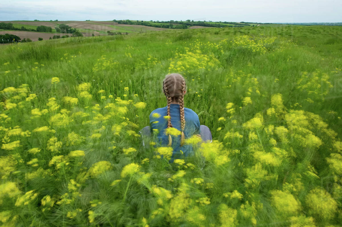 Teenage girl sitting in a field of sand dune wallflowers, western ...