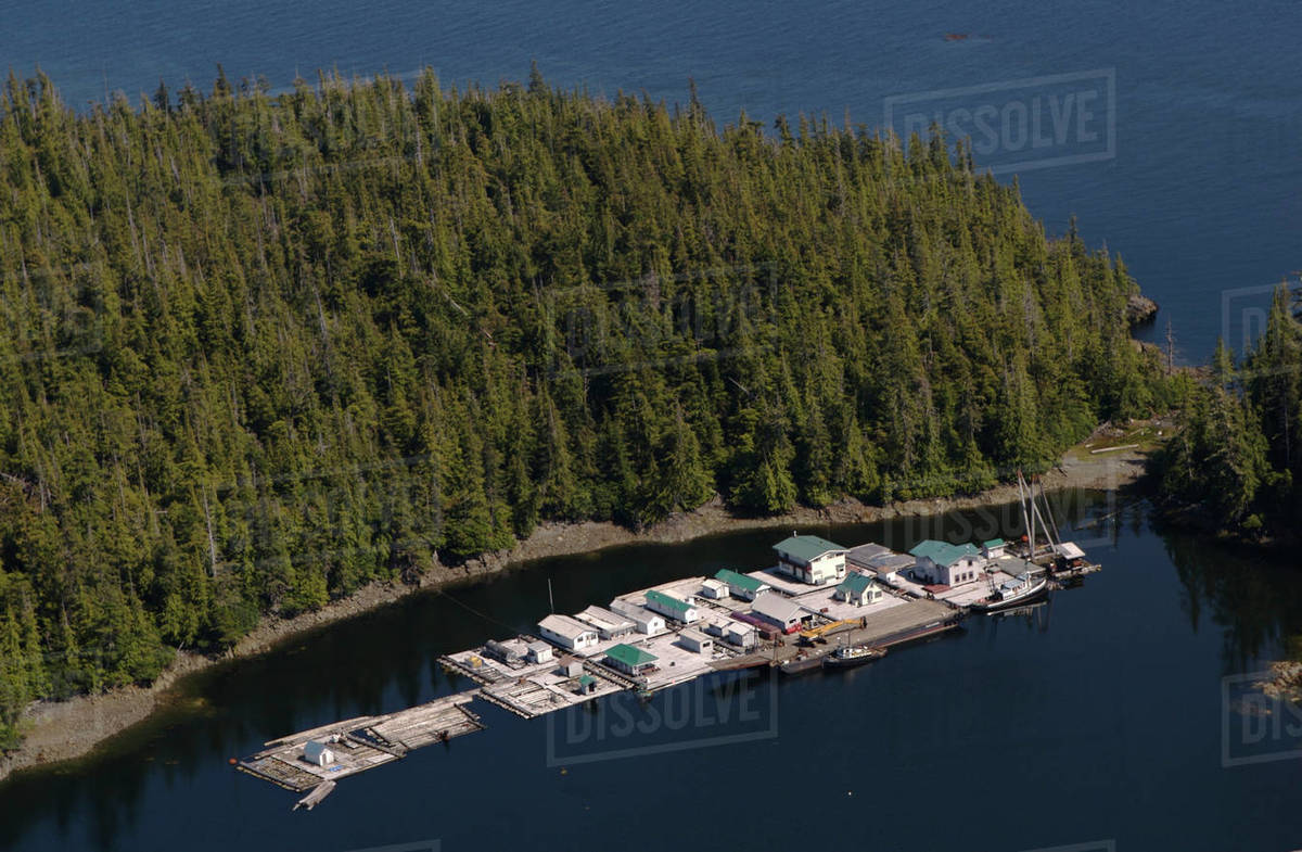 Logging camp on a protected cove in Tongass National Forest, Alaska ...