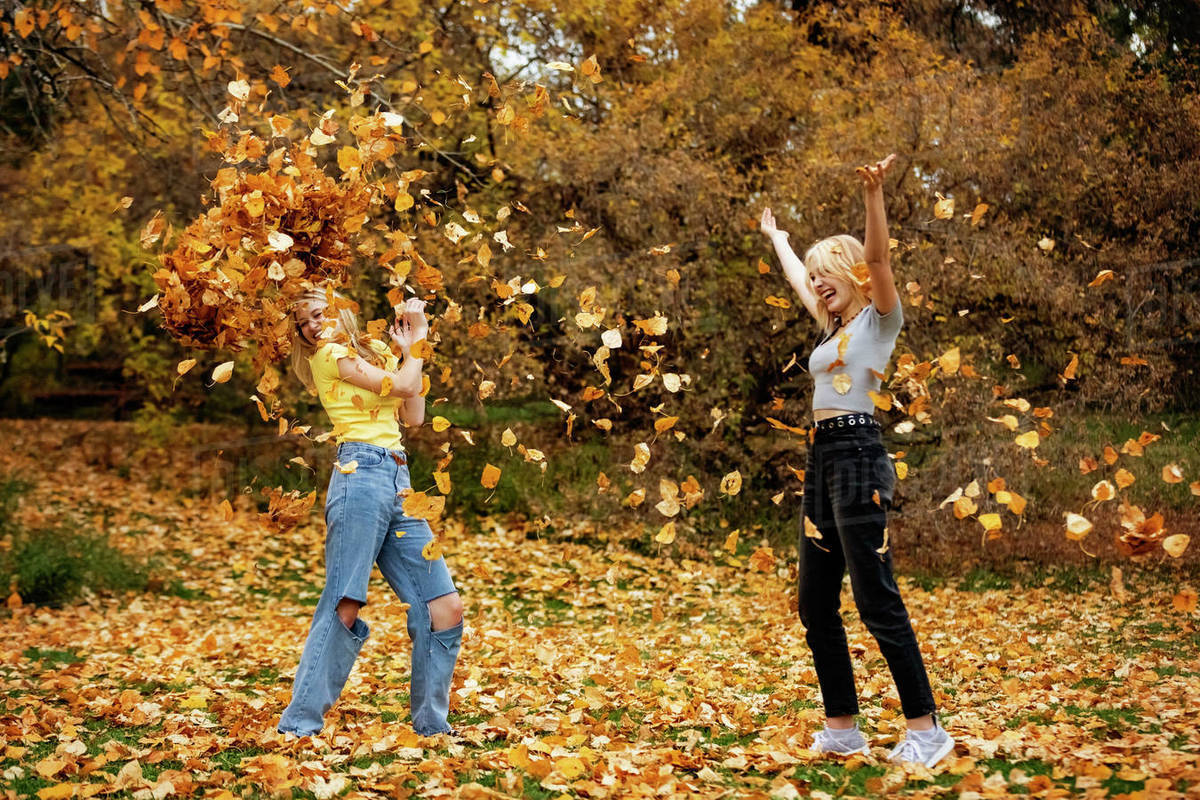 Two teenage girls throwing leaves at each other and having fun in a ...