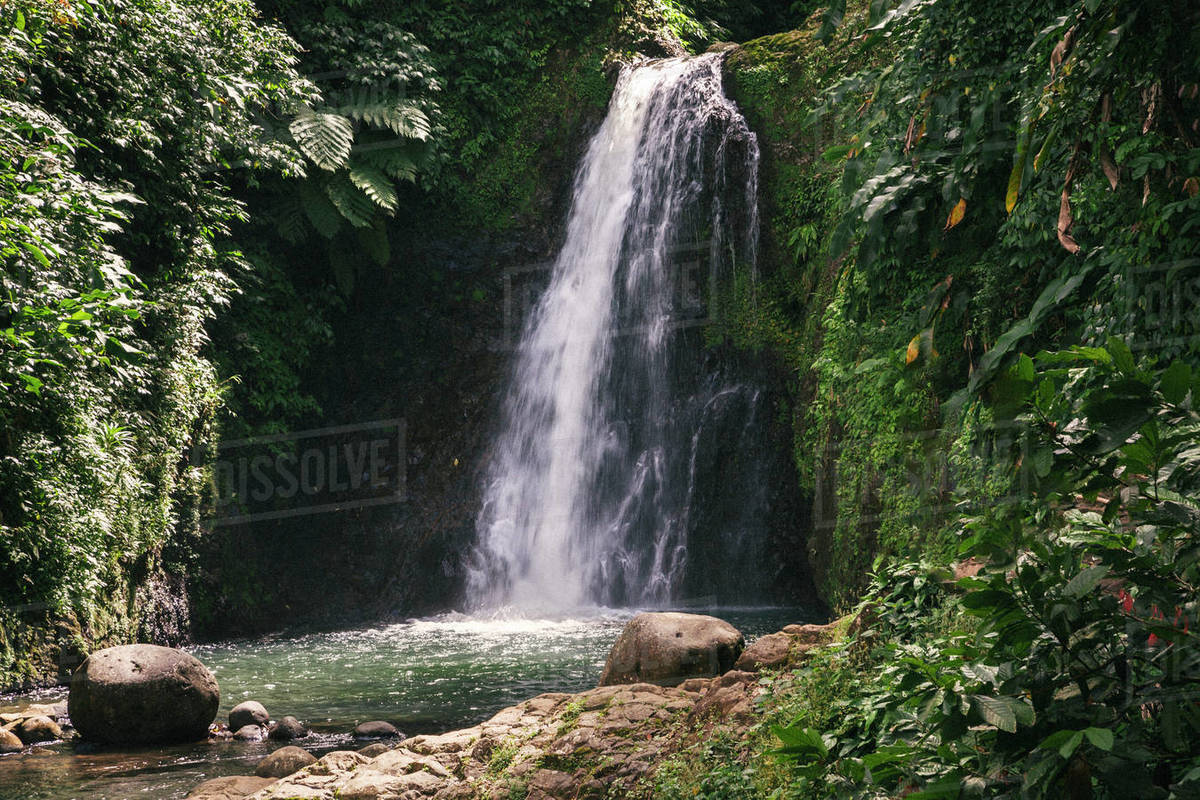 Close-up view of Seven Sisters Waterfalls surrounded by lush vegetation ...