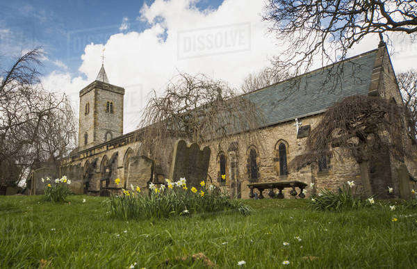 Wildflowers Growing In The Yard Of An Old Church Building; Whitburn ...