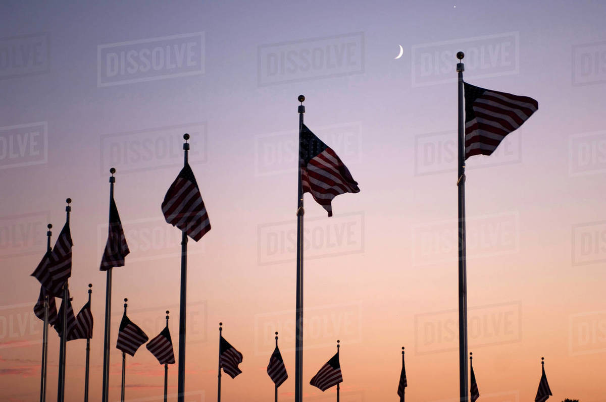 American flags on the Mall in Washington DC, USA; Washington, District ...